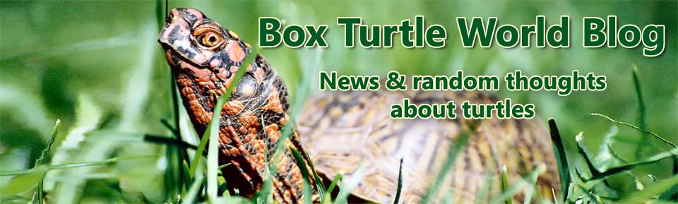 BTW Blog Pages Header - Box Turtle World